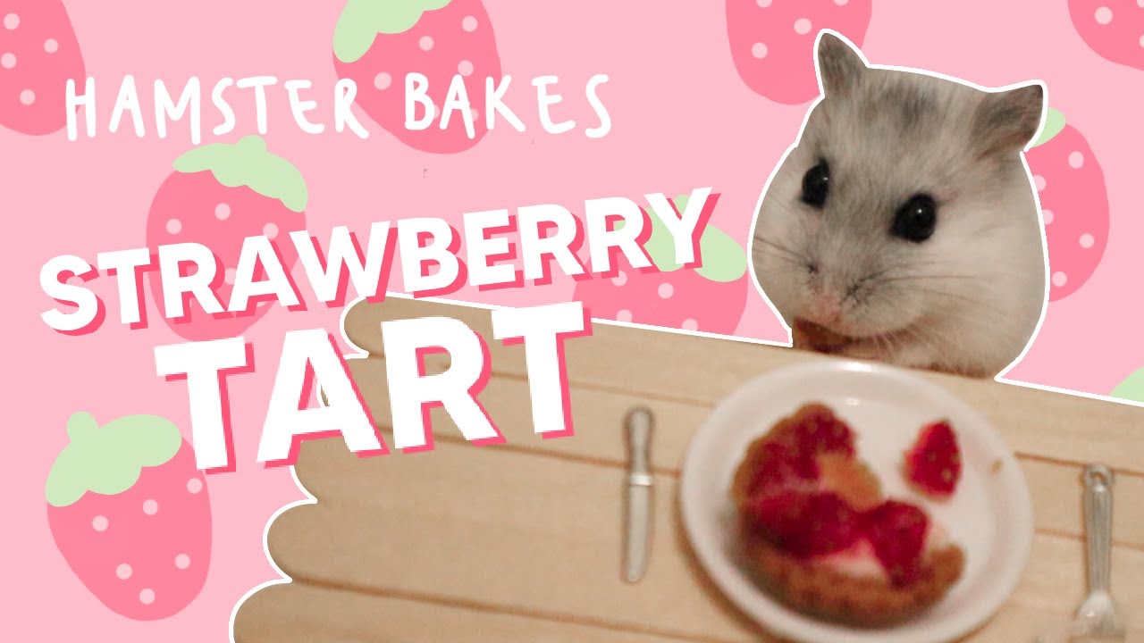 Baking My Dwarf Hamster a Tiny Strawberry Tart - YouTube