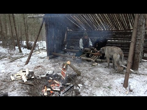 We built a fort in the woods - YouTube