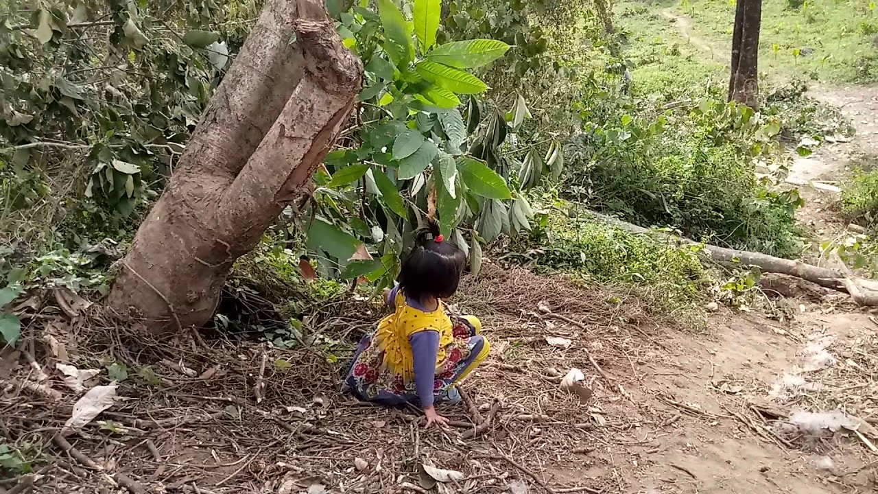 1st 2020 Hill tracking..... - YouTube