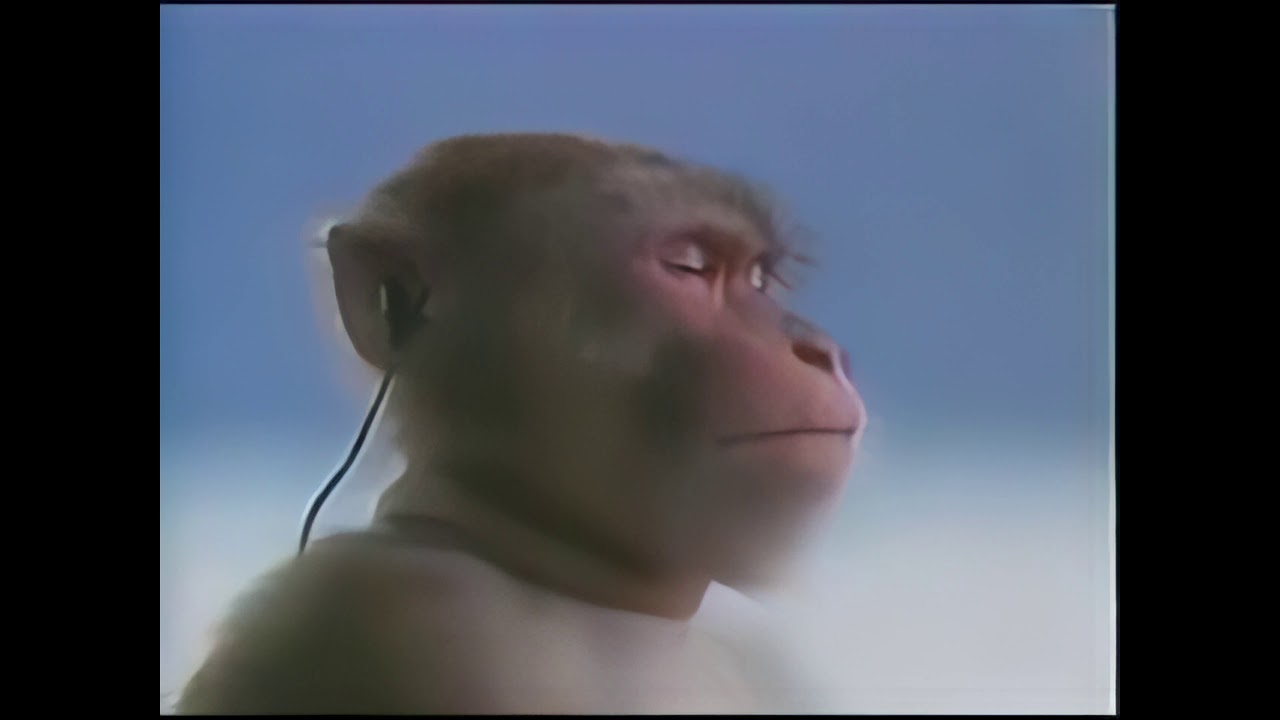 monkey with guts theme in 4K - YouTube