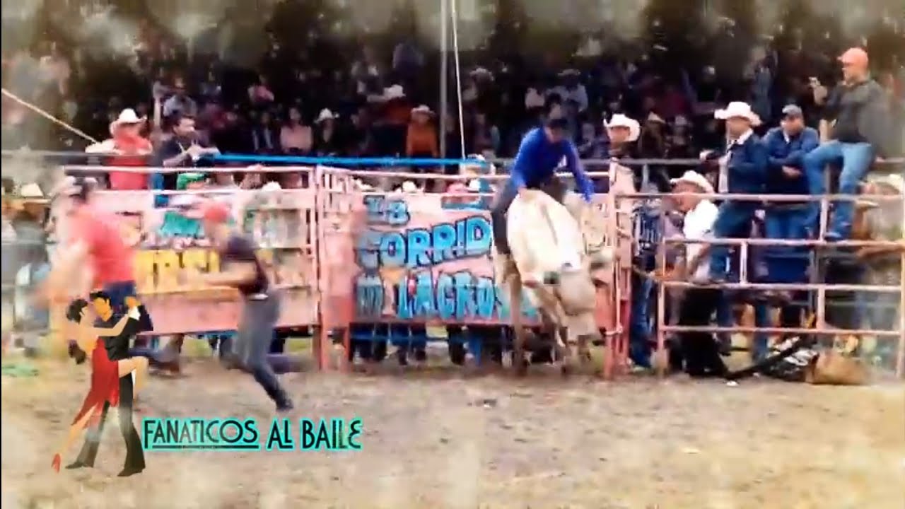 Jaripeo extremo que se vivió en santiago undameo 2019 - YouTube
