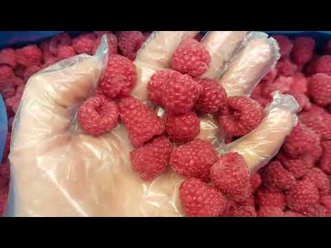 Свежемороженая малина отличного качества! - YouTube