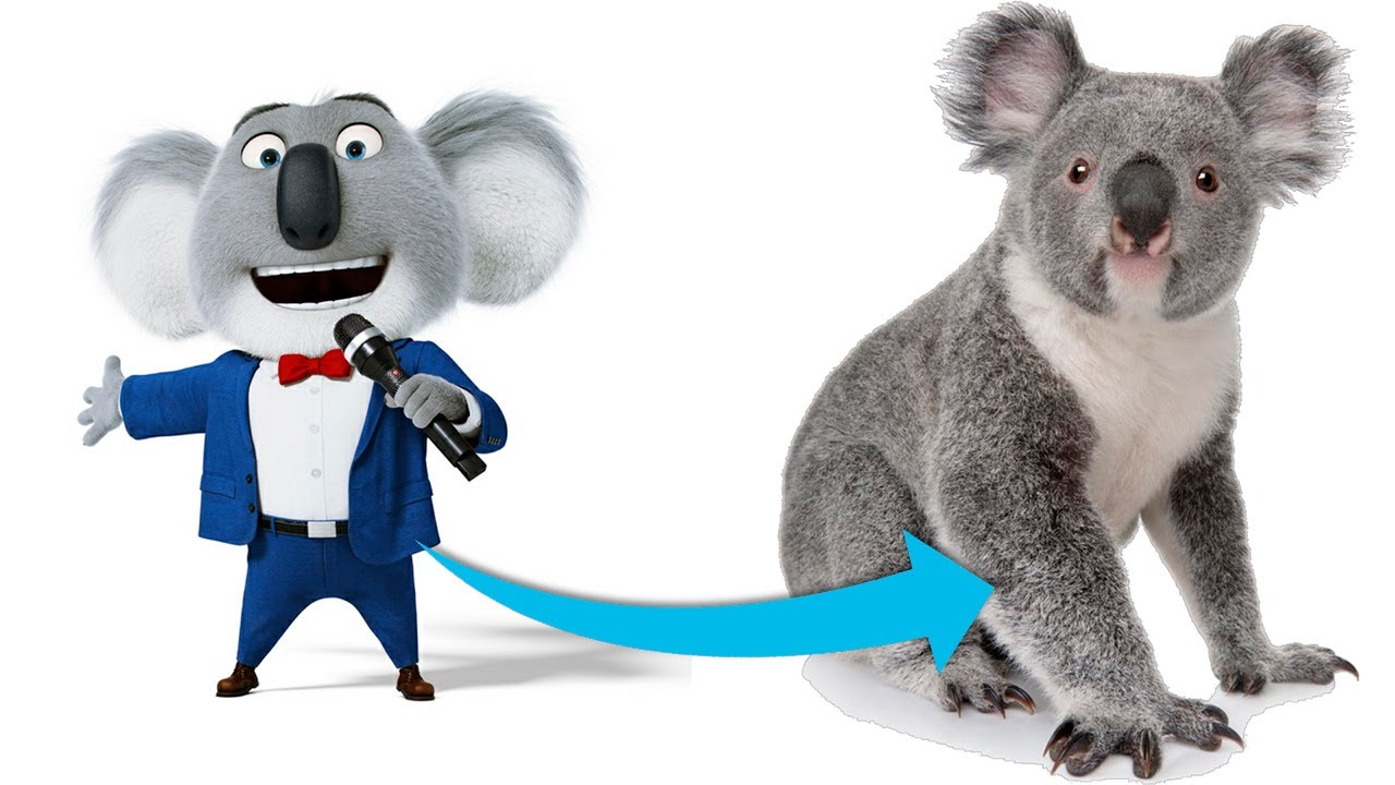 Sing CHARACTERS IN REAL LIFE - YouTube