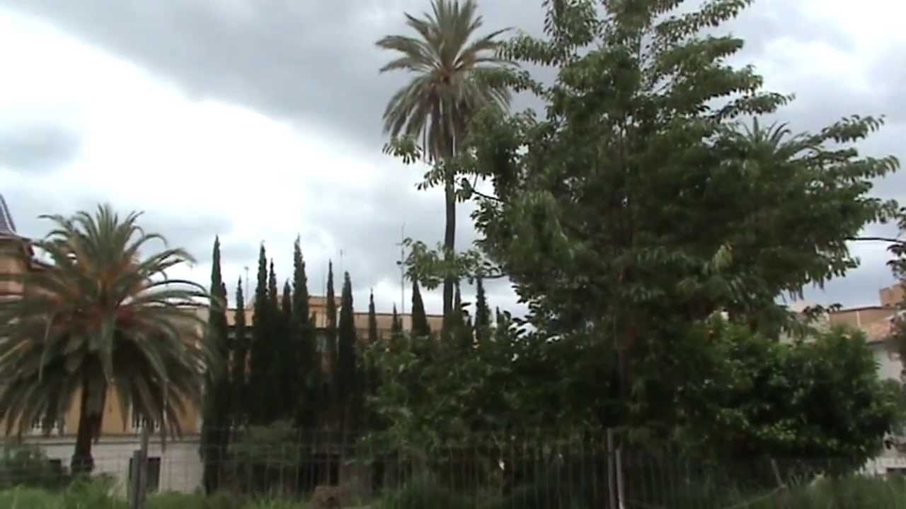 UNA MAÑANA POR EL PARQUE DE SILLA VALENCIA - YouTube