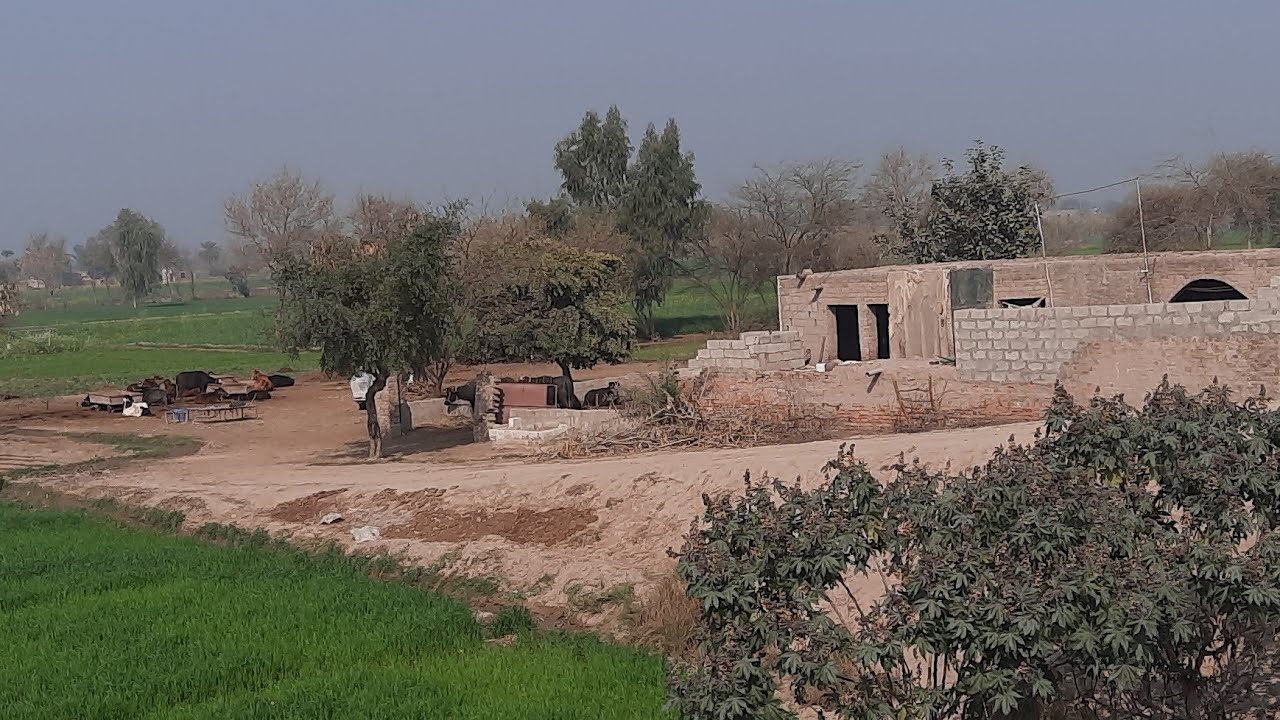 Jhang Village Beauty 2021| Jhang Punjab Magazine - YouTube