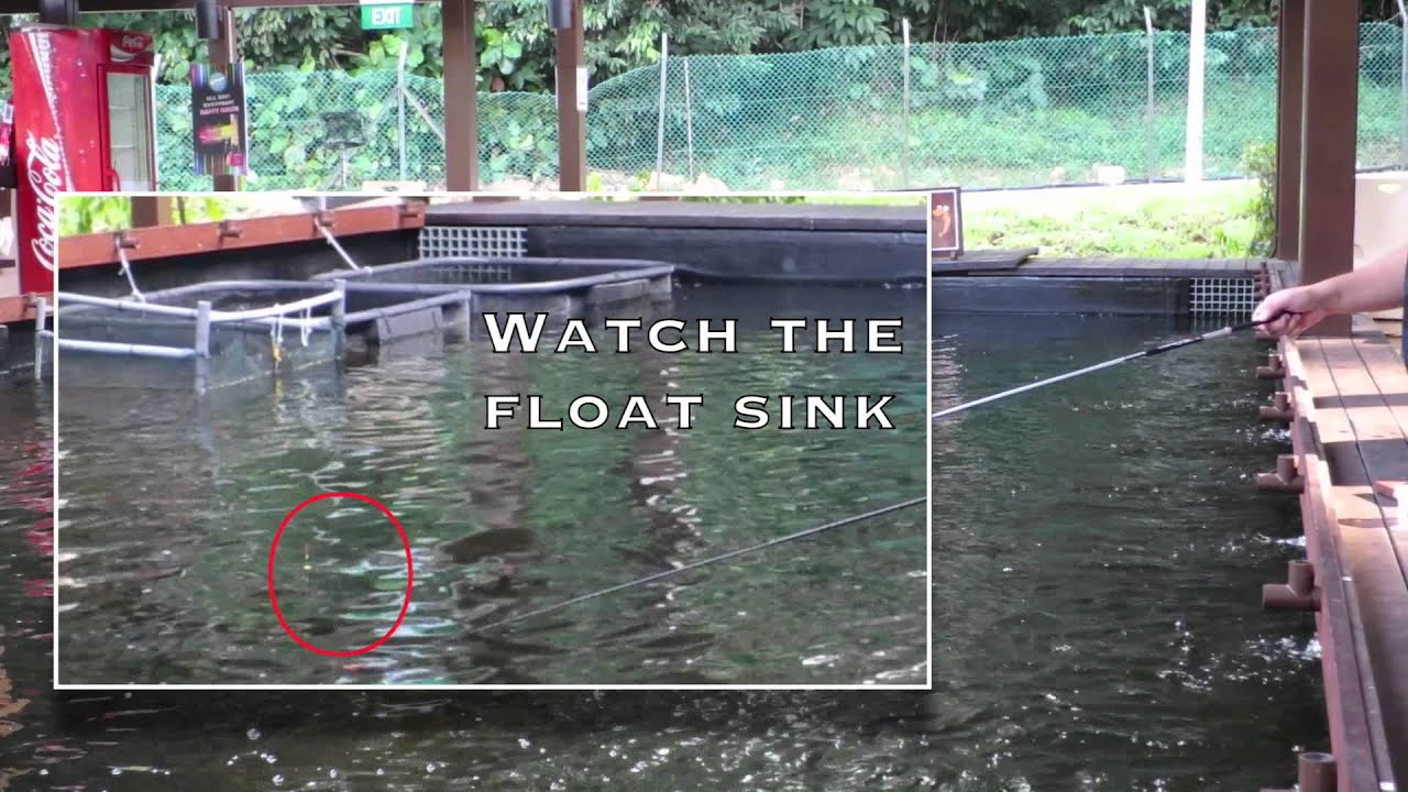 Prawning Tutorial by Prawning at ORTO - YouTube