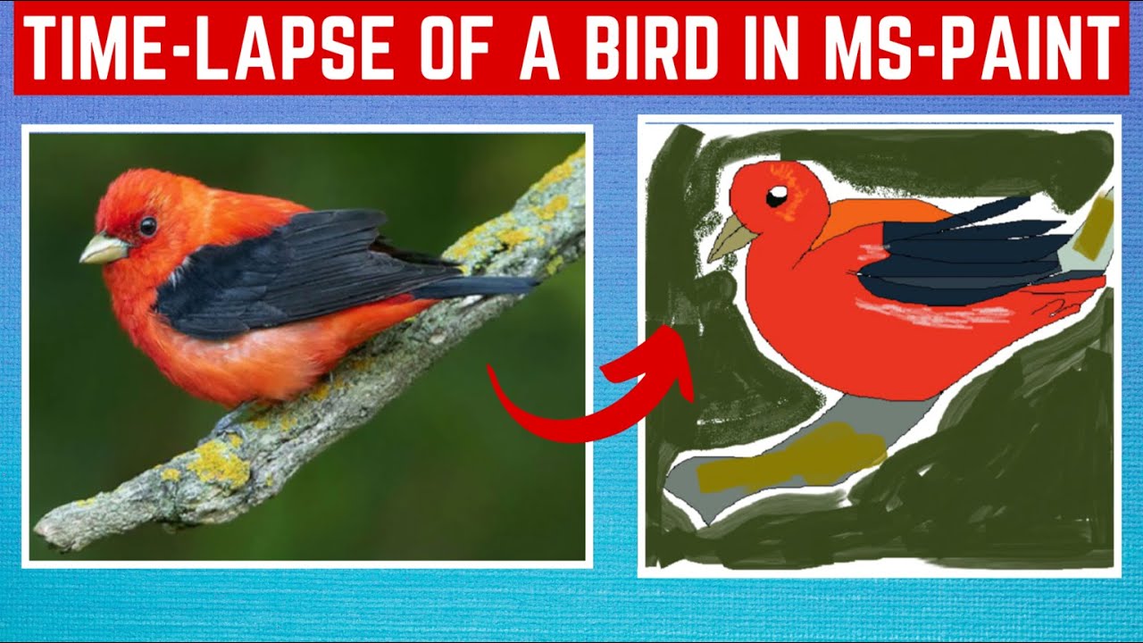 Time-Lapse of a Bird in MS-Paint. - YouTube