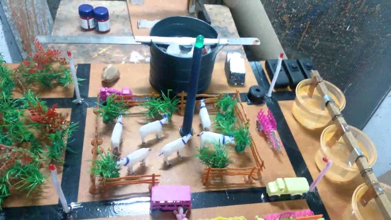196 Eco Village - Science Projects - YouTube