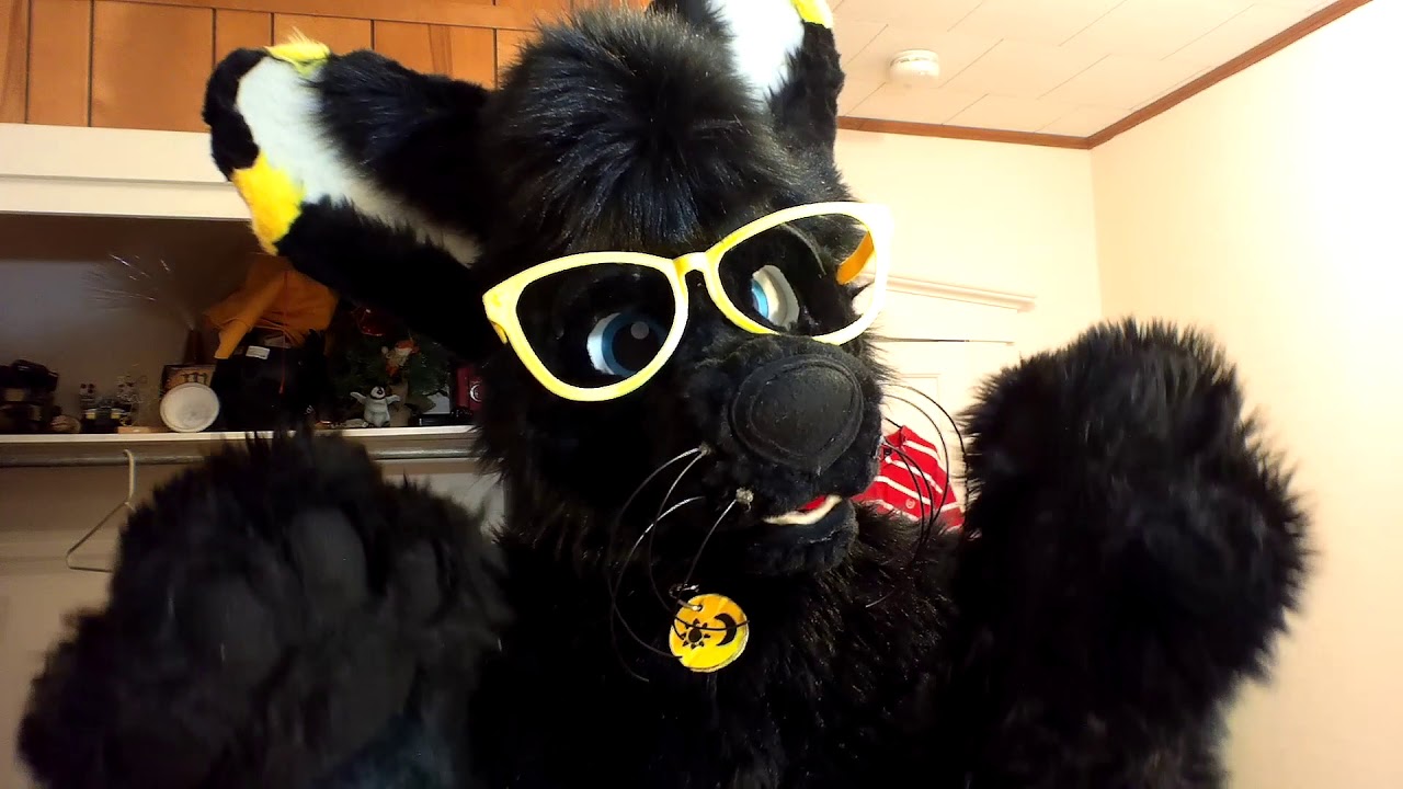 FURRY STUFF - YOU HAVE BEEN BOOP BY THE KITTYFOX (DarkTheKittyFox ...