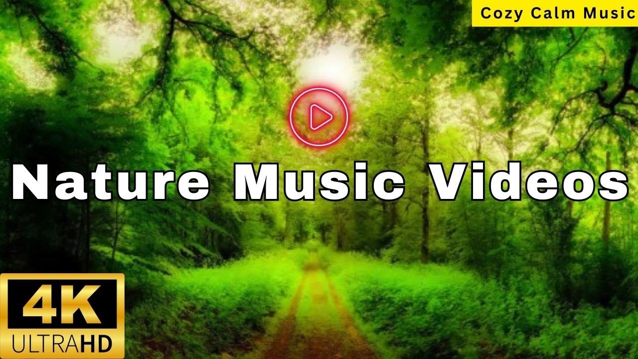 Nature Relaxation Film - Peaceful Relaxing Music - Nature 4k Video ...