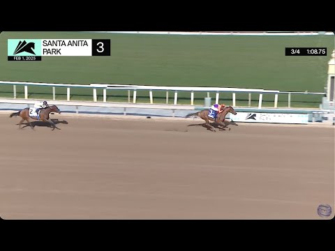 Which Fast Filly Earned 'Fastest Horse of the Week' Honors? - YouTube