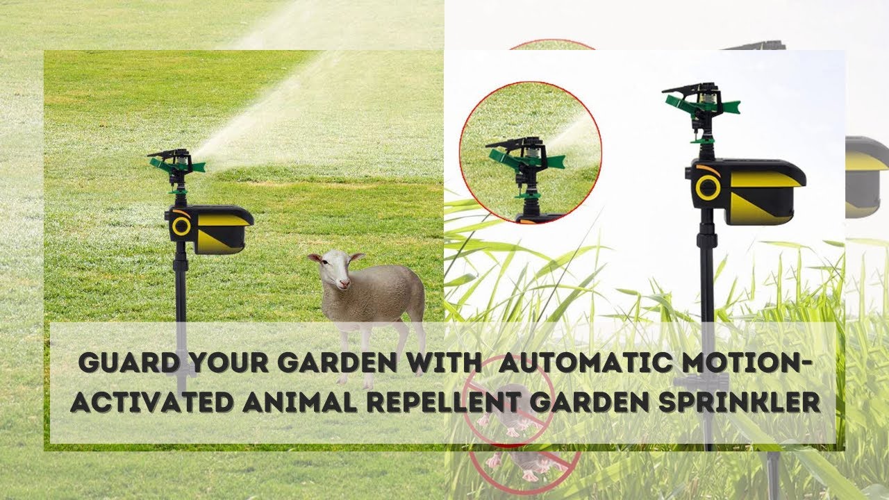 Automatic Motion-Activated Animal Repellent Garden Sprinkler - Animal ...