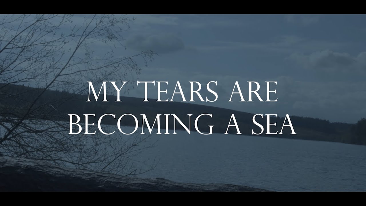 My tears are becoming a sea - YouTube