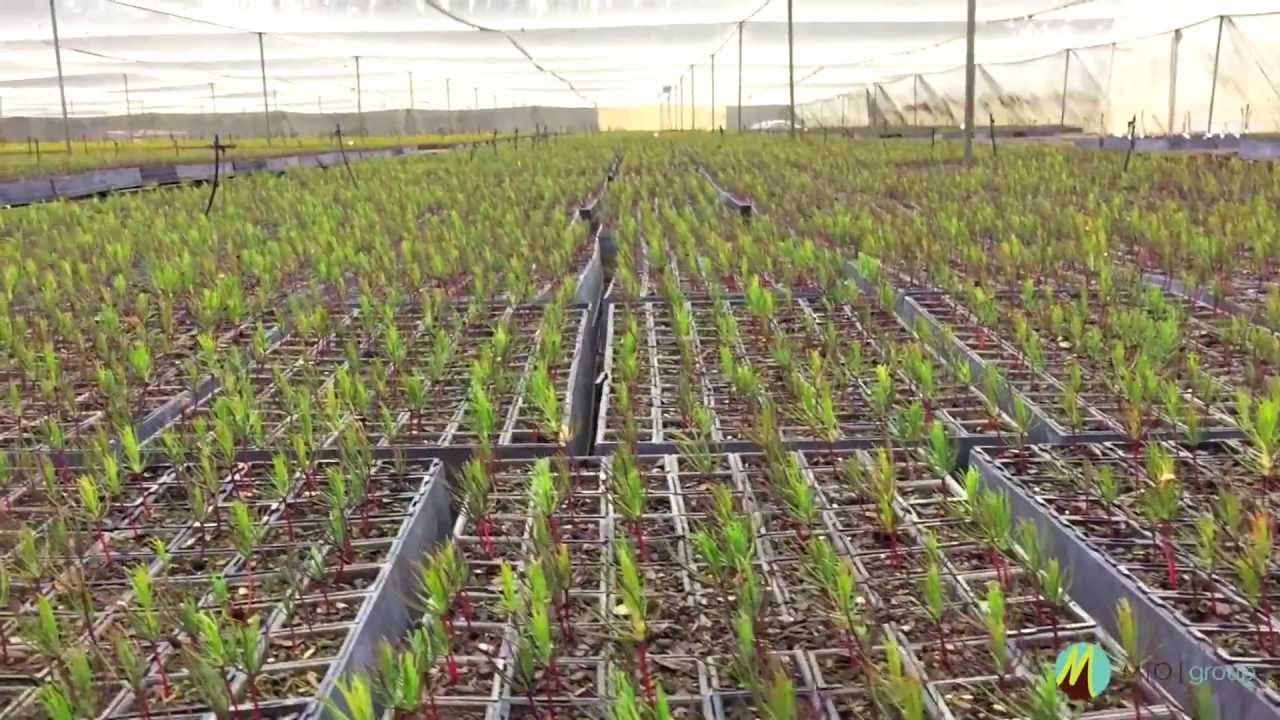 MTO | group Portfolio Video - YouTube