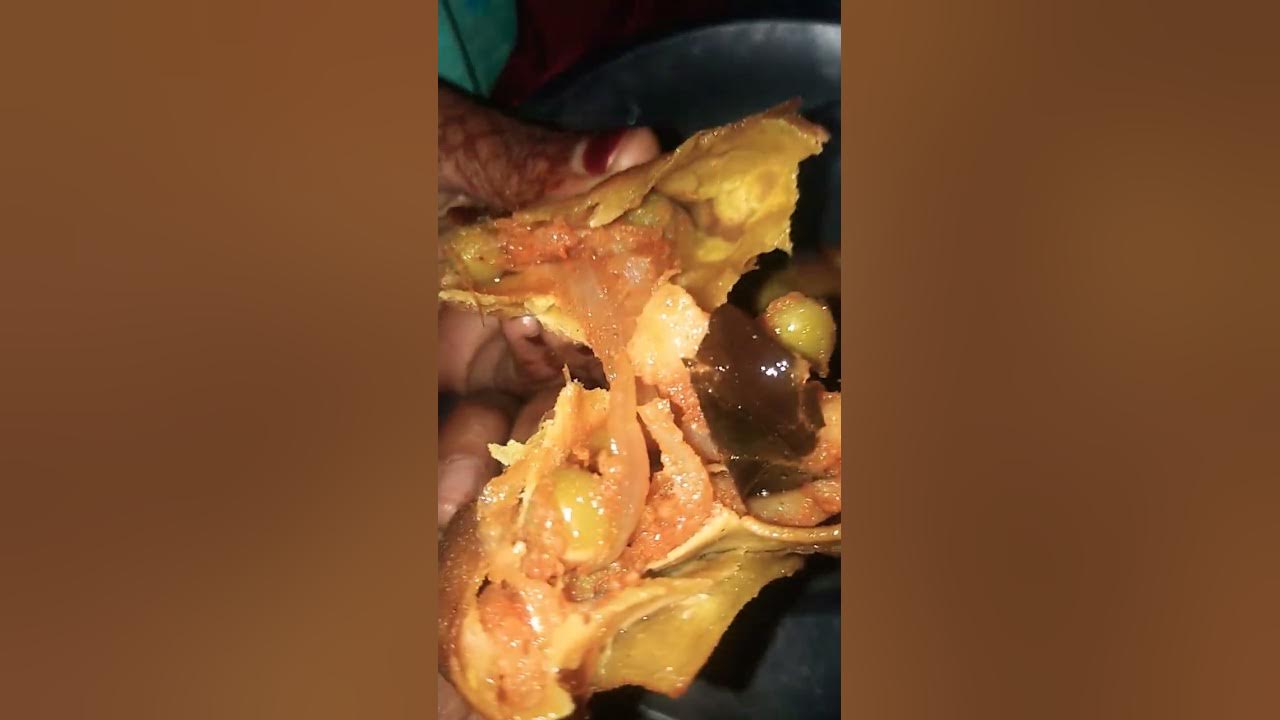 short Yummy And Tasty evening Snacks YouTube short-yummy-and-tasty-evening-snacks-youtube