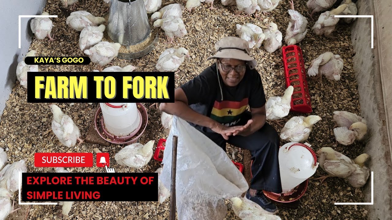 How I Spend Time Living At The Homestead In Bulawayo | Thriving In ...