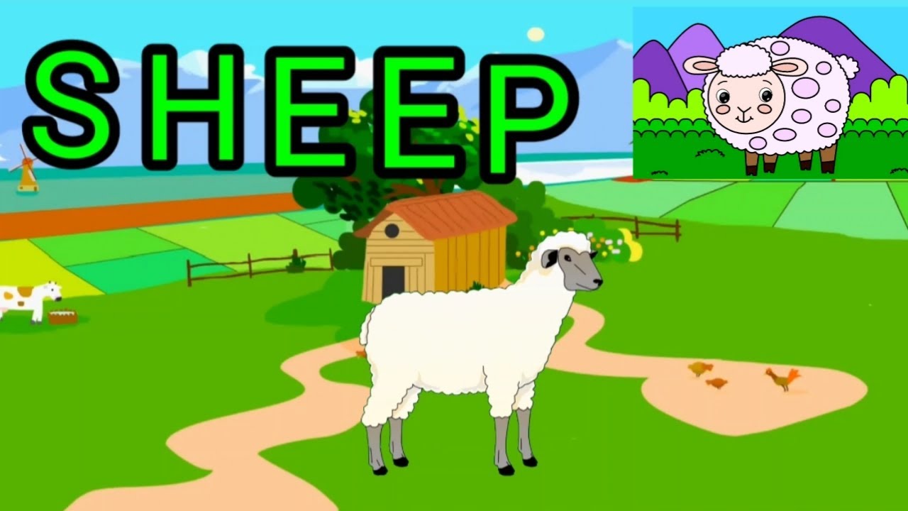 Animal Sheep learn and colour |Easy learning for toddlers | kids learn ...