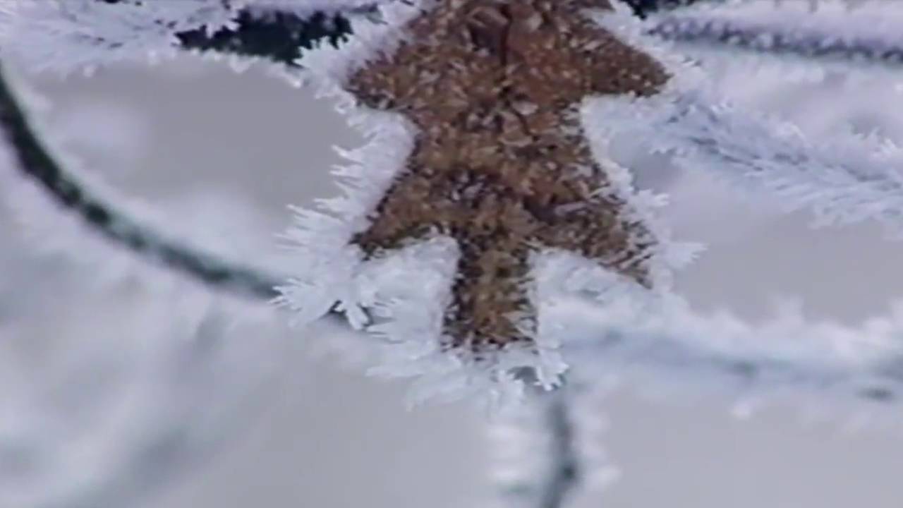 The First Noel Philadelphia Orchestra! - YouTube