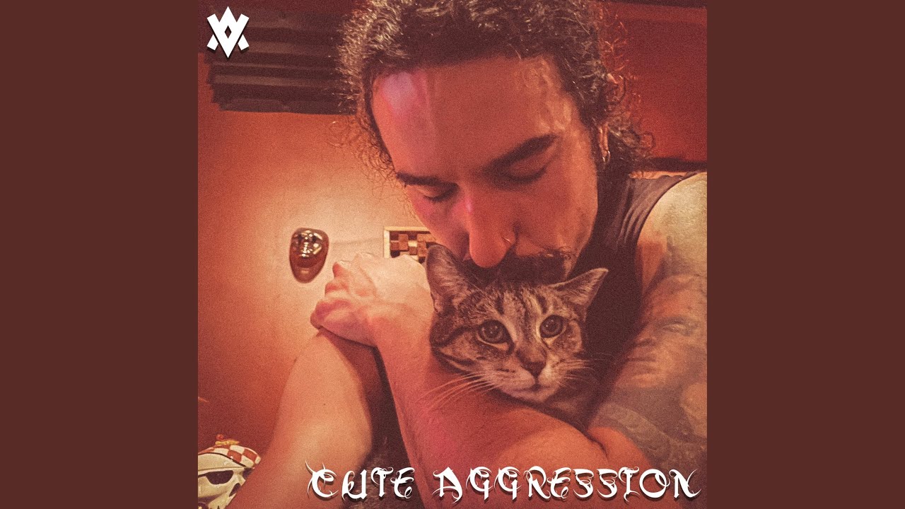 Cute Aggression - YouTube Music