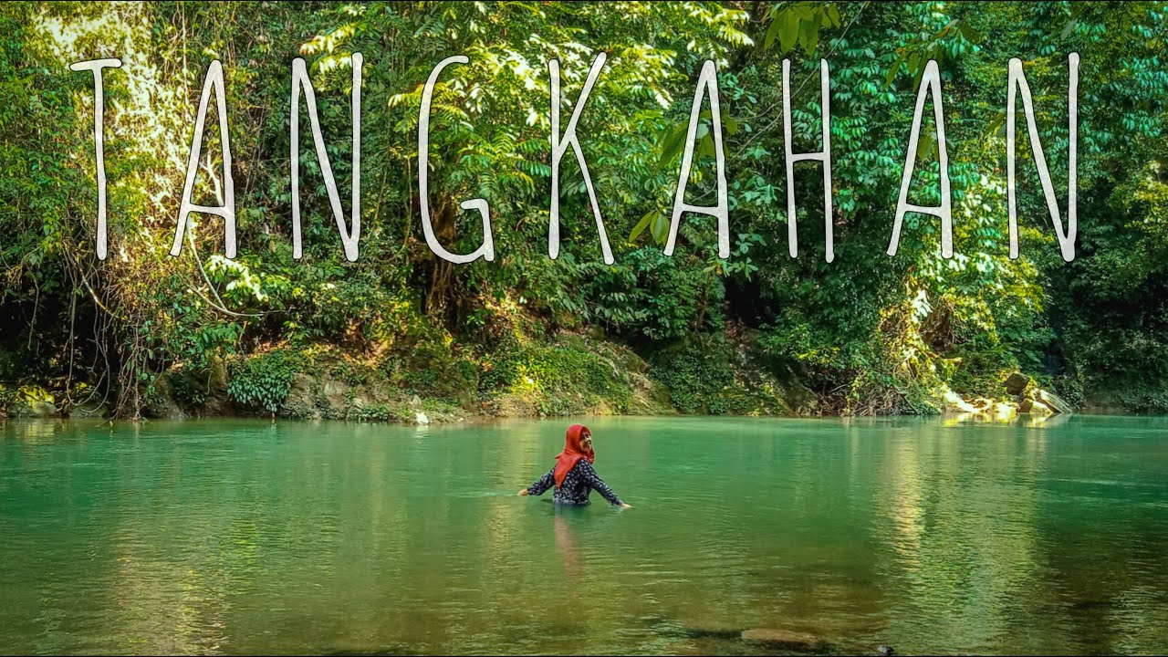 TANGKAHAN - BACK TO NATURE - It's the real hidden paradise in Langkat # ...