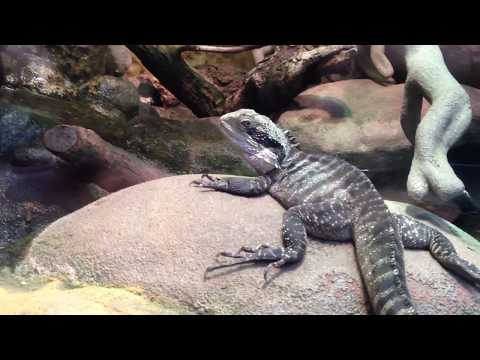 Road trip: frankfurt zoo 2013