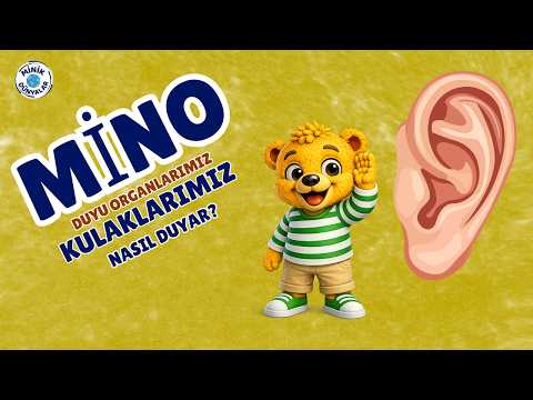Mino | Duyu Organlarımız: Kulaklarımız Nasıl Duyar? 👂✨