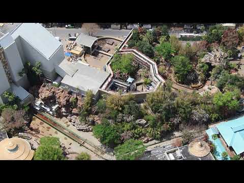 Aerial video of the Jurassic Park River Adventure