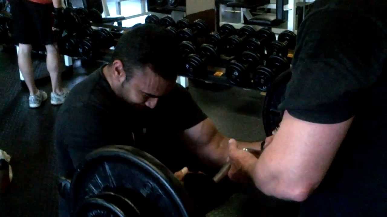 Clint Preacher Curl Machine - Better Bodies Health Studio, Dbn SA - YouTube