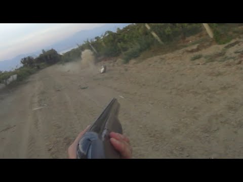 Tavşan ( Kalktığı Yere Kovarak Geri Çevirme )
