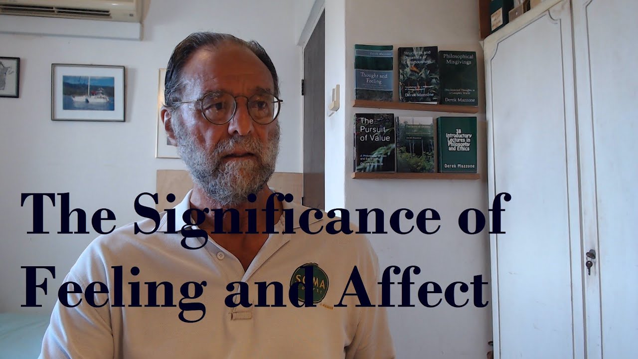 Philosophy of Value Podcast, S7, 42, Affect & Feeling - YouTube