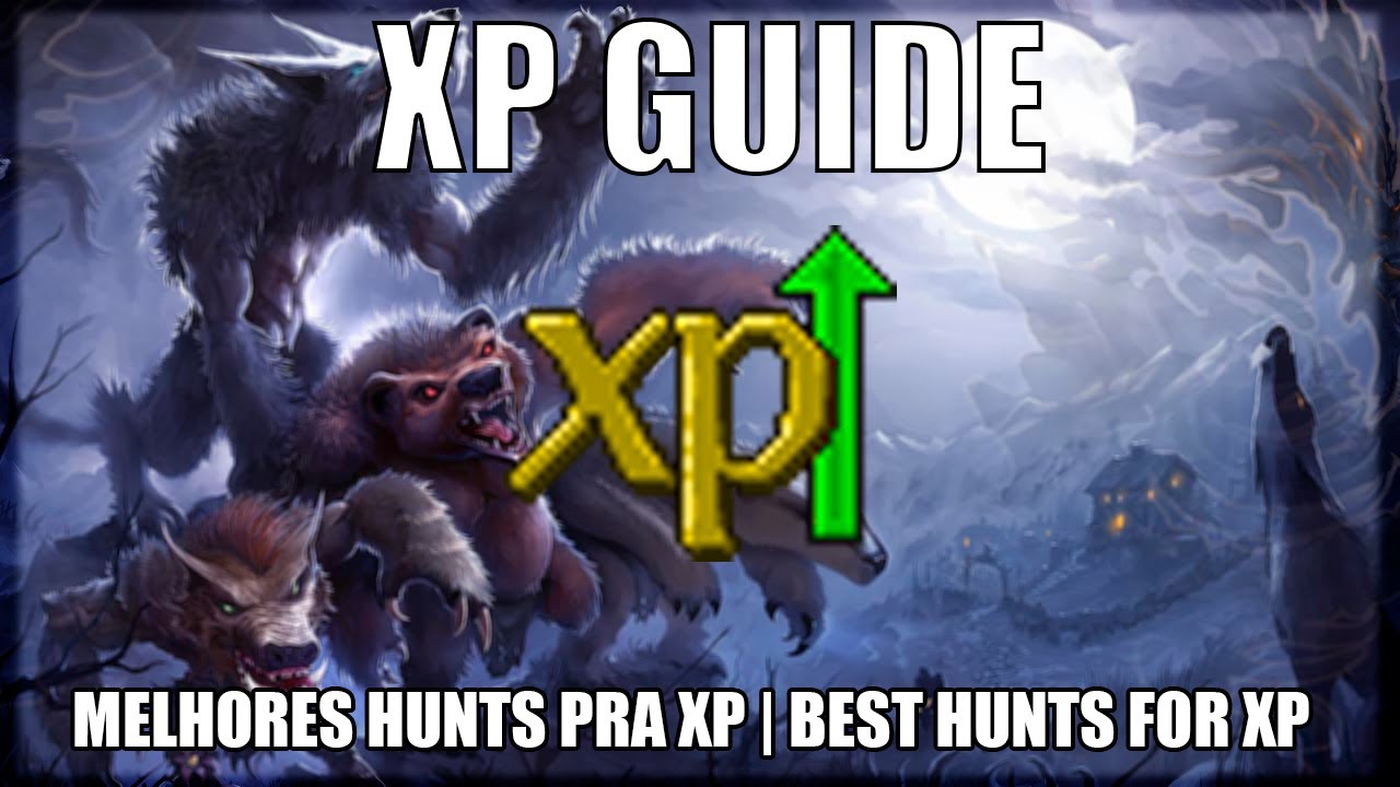 TIBIA - MELHORES HUNTS PRA XP | BEST PLACES TO XP - YouTube