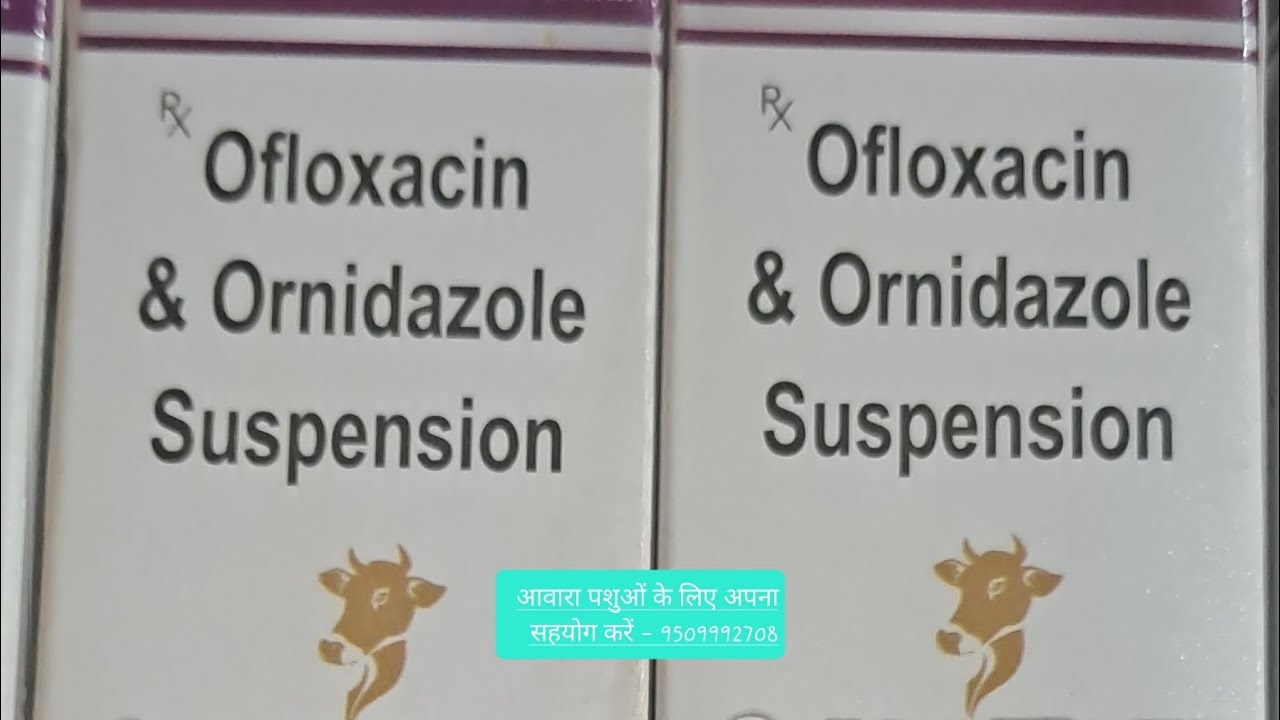 Ofloxacin & Ornidazole Suspension || Out'n'Fit-IU|| veterinary ...