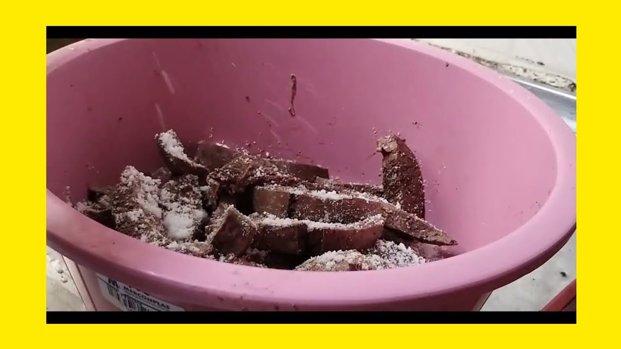COMO FRITAR A PASSARINHA DO BOI 🐂 - YouTube