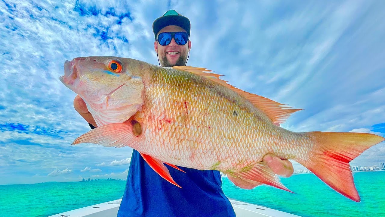 How to Catch MONSTER Mutton Snapper { Catch N Cook } - YouTube