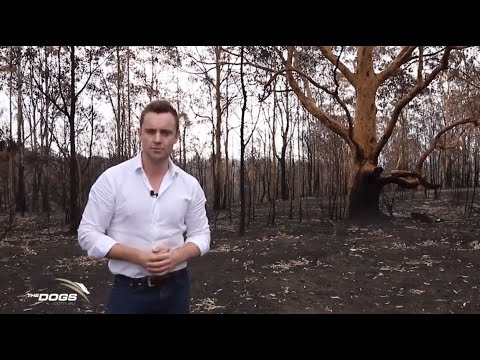 Liam Tapper Showreel 2020 - YouTube