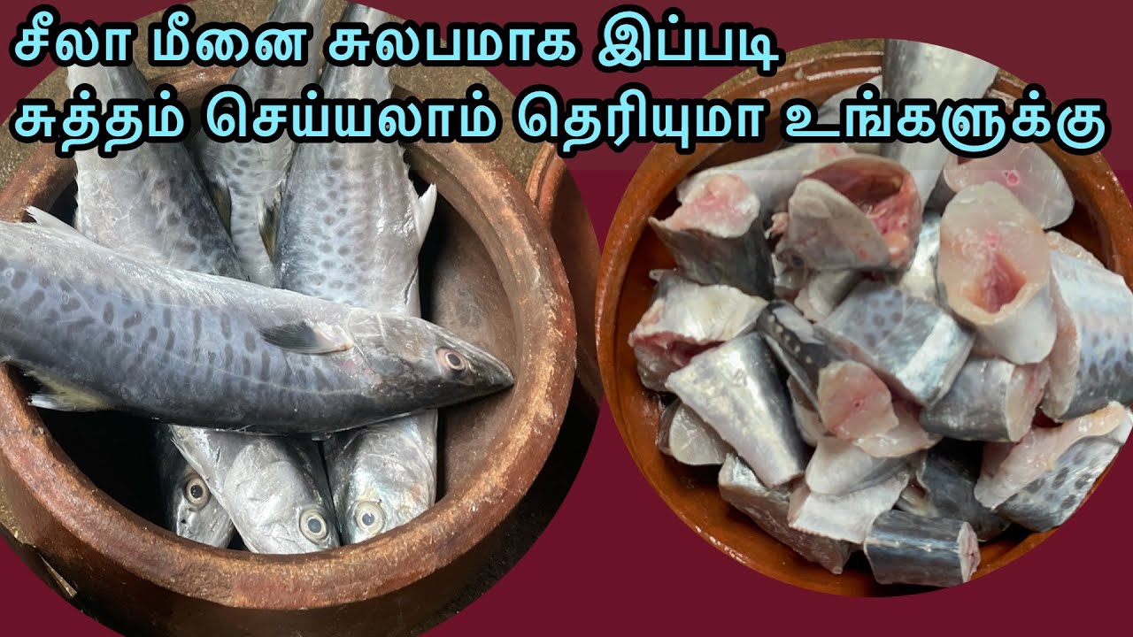 How to clean Sheela fish/சுலபமாக சீலா மீனை சுத்தம் செய்வது எப்படி /fish ...