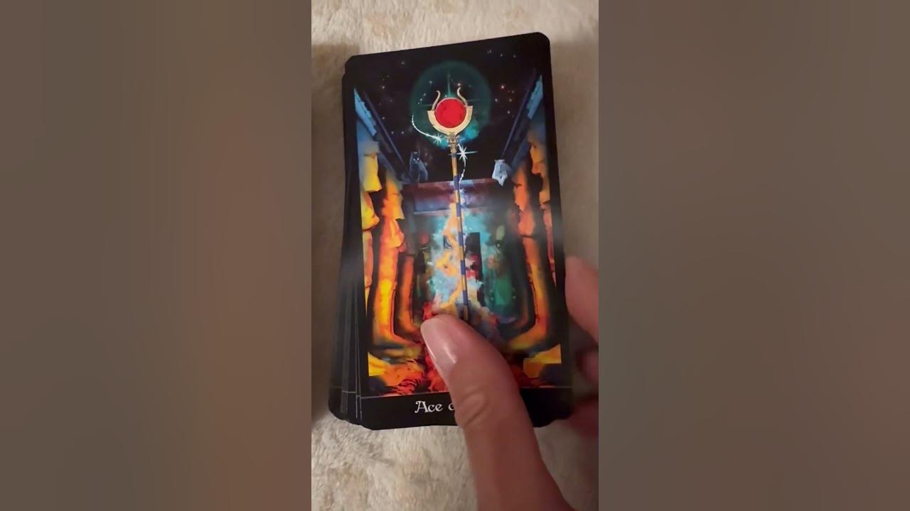 Таро Апокалипсиса👑♥️🌸🧚 - YouTube