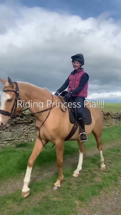 Rode princess Pia today!!!! #horse #equestrianjourney #equestrian #pony #natalia #piathehorse ...