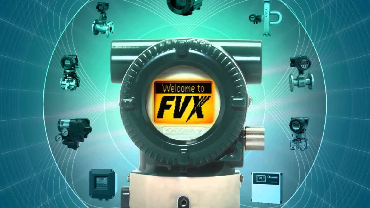 Field Mount Indicators: FVX110 Fieldbus Segment Indicator: Introduction ...