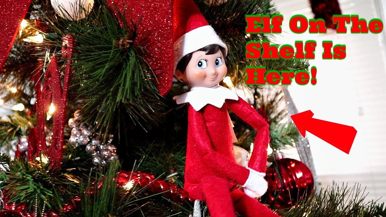 Elf on the Shelf! He Came to Our House and brought SURPRISE Christmas ...
