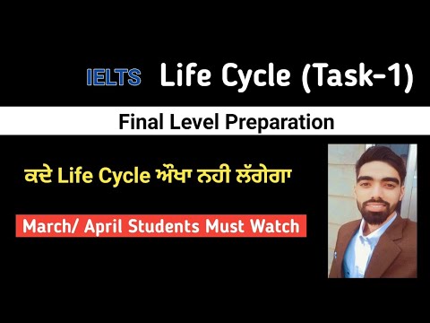 Life Cycle IELTS Writing Task 1 | Life Cycle Task 1 Sample Answer ...