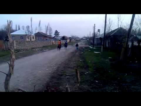 ATbaz Efqan yorga atla