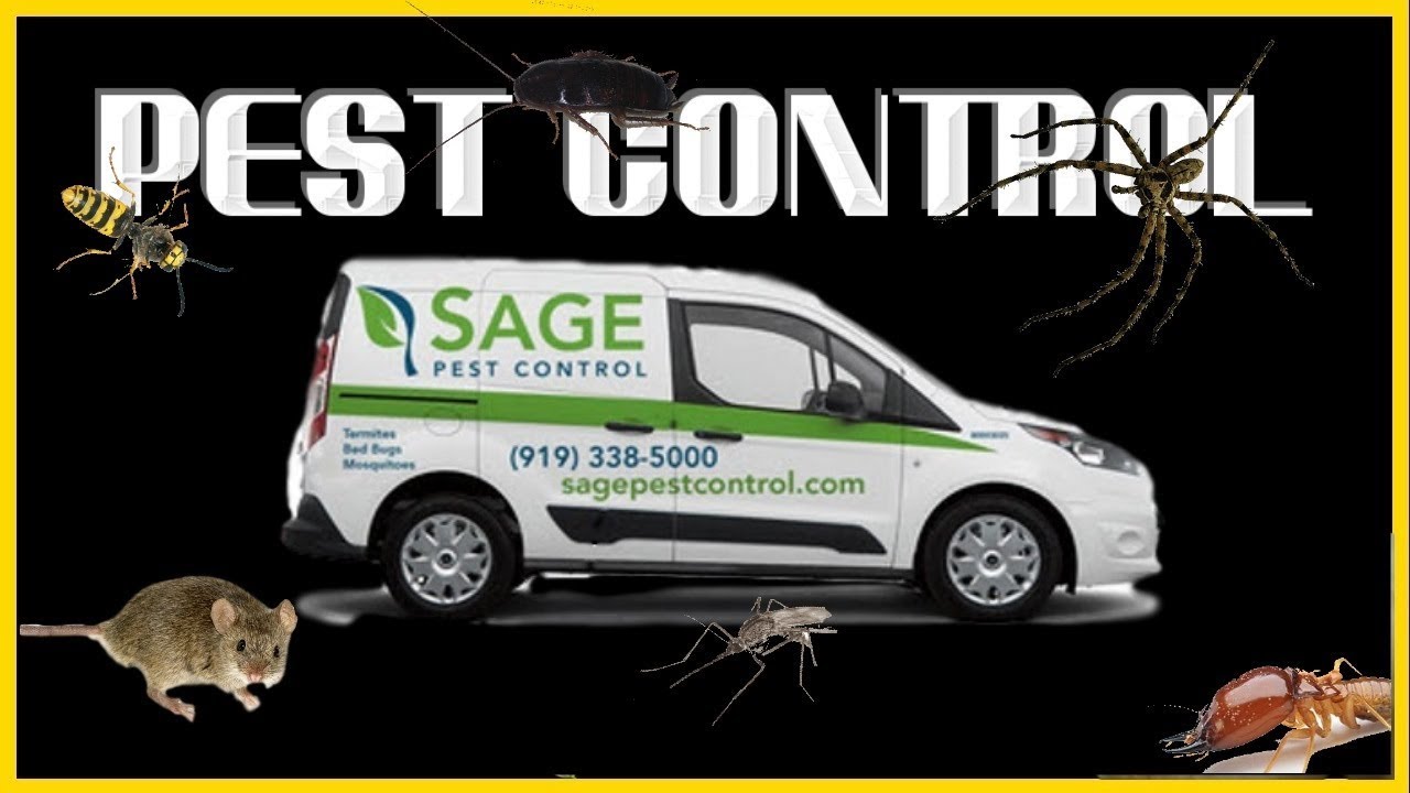 best pest control company in raleigh nc - best pest control company in ...