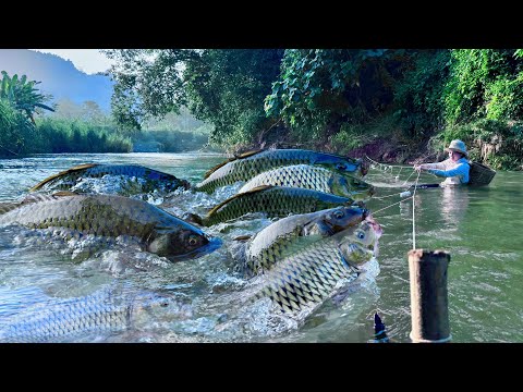 Traditional Fishing Skills - Single Mother Risks Catching Giant Fish in Two Converging Streams