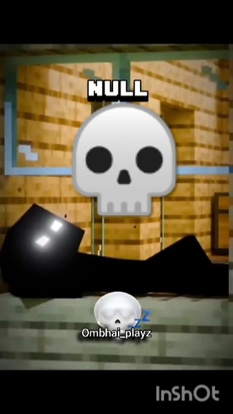 W Team Moment 💀 | Minecraft Animation#sigma#minecraft#animation# ...