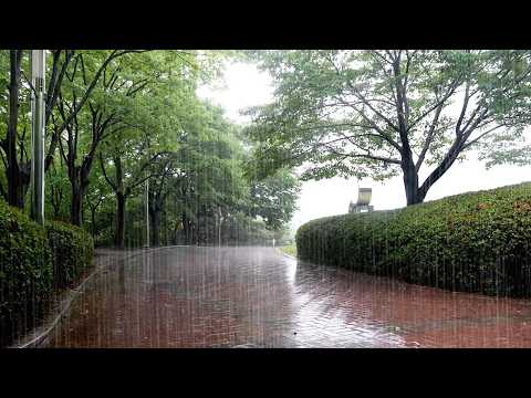 Yağmurlu Park ASMR Kaygı Sonlandırıcı ve Zihinsel Denge Sağlayıcı Yağmur Terapisi