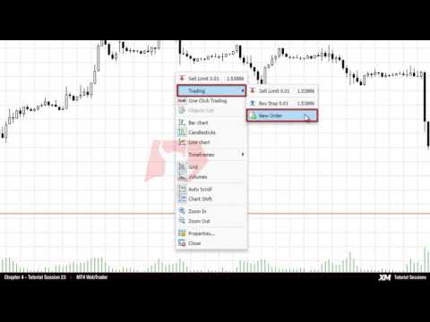 001.MT4 Tutorials MT4 WebTrader Terminal Basics - YouTube