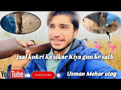 jaal kukri ka sikar Kiya gun ke sath🦩🦩|Usman Mehar vlog| - YouTube