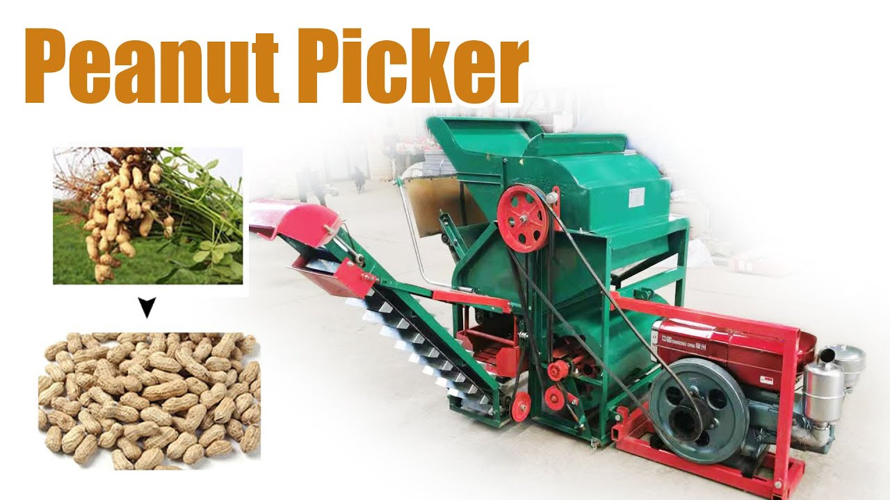 High-Efficiency Peanut Picker Machine Working Site: Fast and Precise ...
