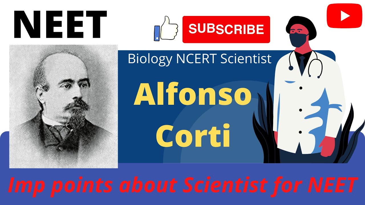 Imp points about Scientist Alfonso Corti for NEET ( Biology ...